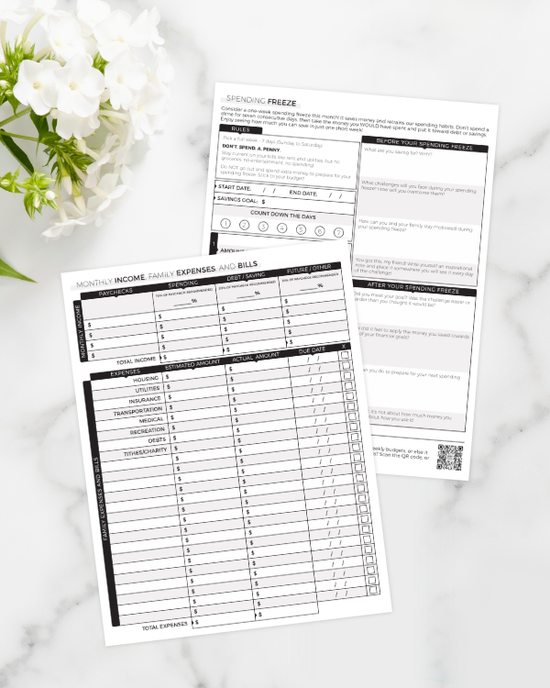 Budget Planner Lite | Digital Download – The Page Company